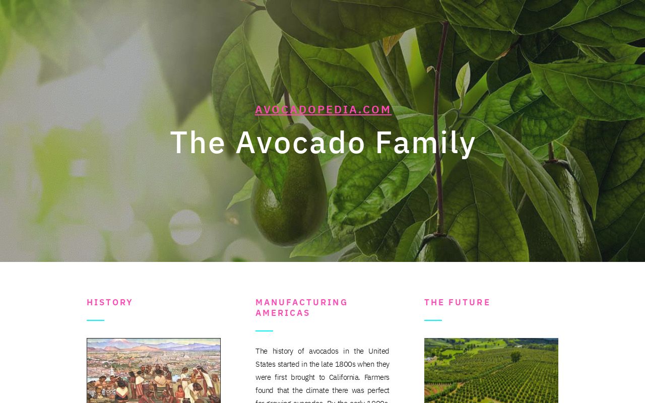 The Avocado Family